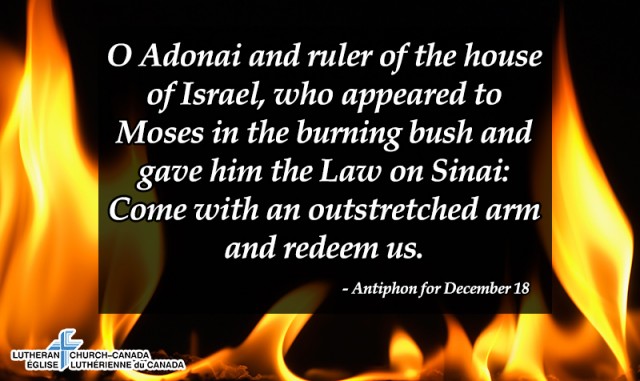 The O Antiphons through Christmas | Canadian Lutheran