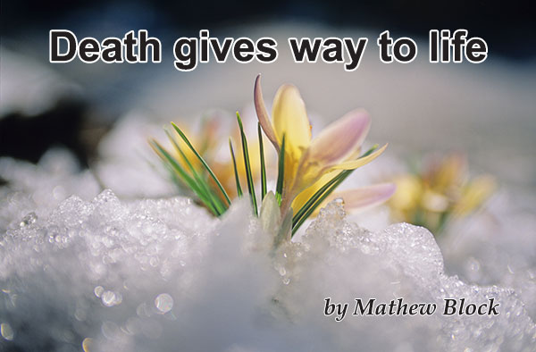 Death gives way to life - The Canadian Lutheran