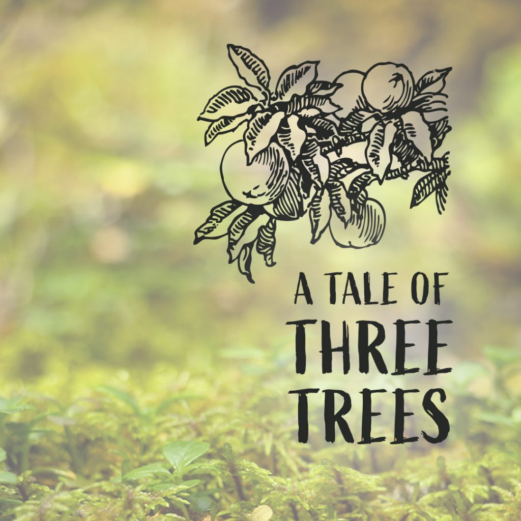 A Tale of Three Trees - The Canadian Lutheran