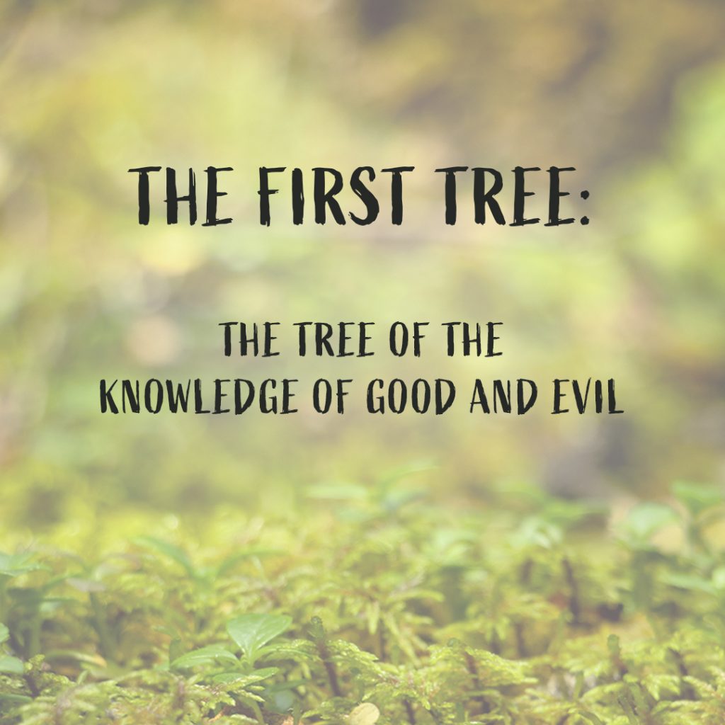 A Tale of Three Trees - The Canadian Lutheran