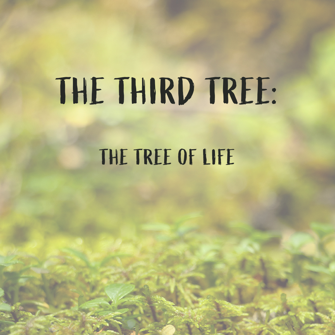 A Tale of Three Trees - The Canadian Lutheran